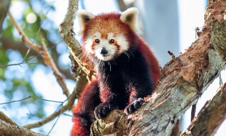 Explore Neora Valley – GoTravelTrek